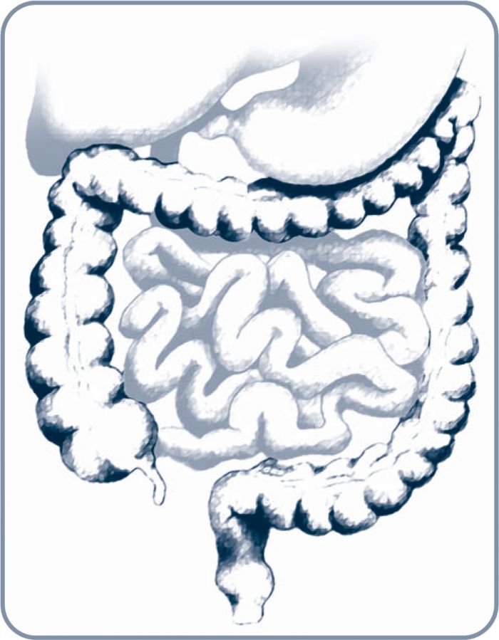 Krankenhaus Wermelskirchen GmbH - Darmkrebszentrum. Alles über ...