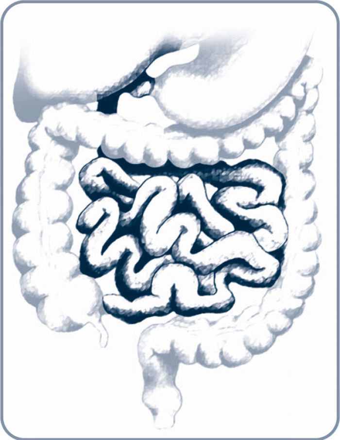 Krankenhaus Wermelskirchen GmbH - Darmkrebszentrum. Alles über ...